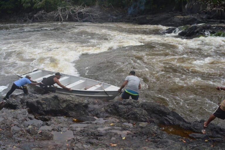 Jungle Survival Skills: The Essentials | The Wildtales Inc.