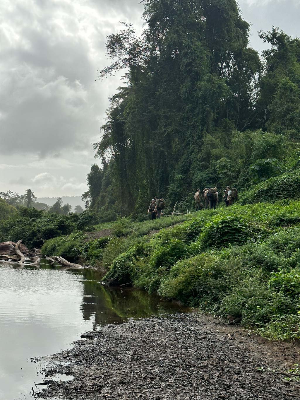 Essential Guide: What Equipment to Use in the Jungle | The Wildtales Inc.