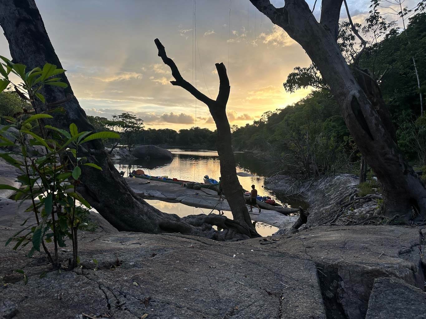 Essential Guide: What Equipment to Use in the Jungle | The Wildtales Inc.